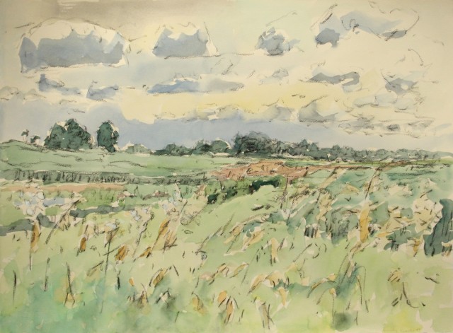 Dorothy Knowles "Watercolours" | Michael Gibson Gallery