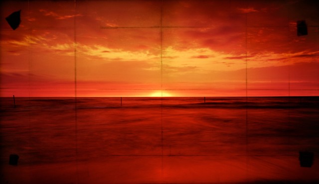 Susan Dobson - Available Artwork | Michael Gibson Gallery