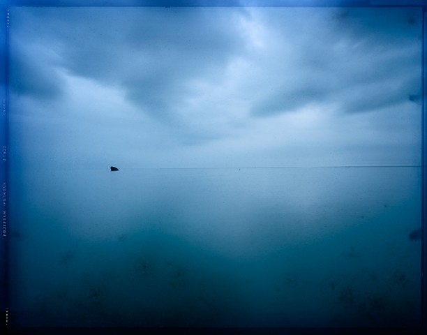 Susan Dobson - Available Artwork | Michael Gibson Gallery